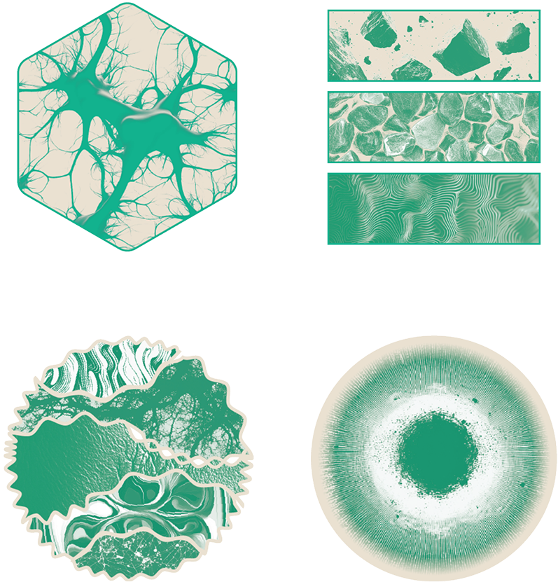 Hierarchy Medicine - Optimal Health Program